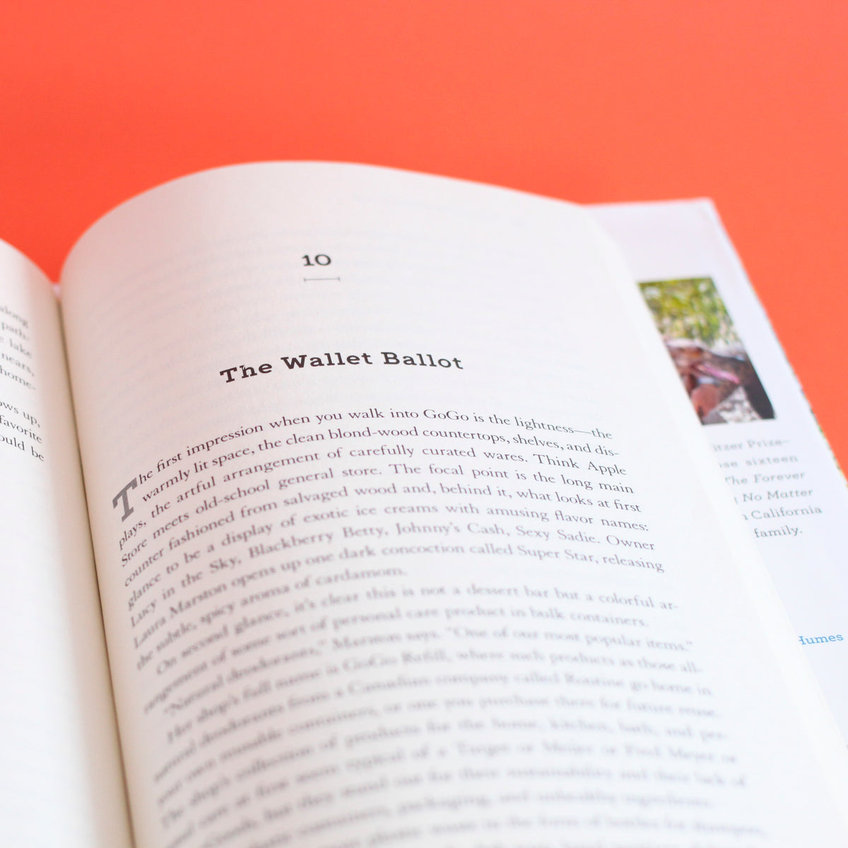 Total Garbage Book by Edward Humes | GoGoRefill