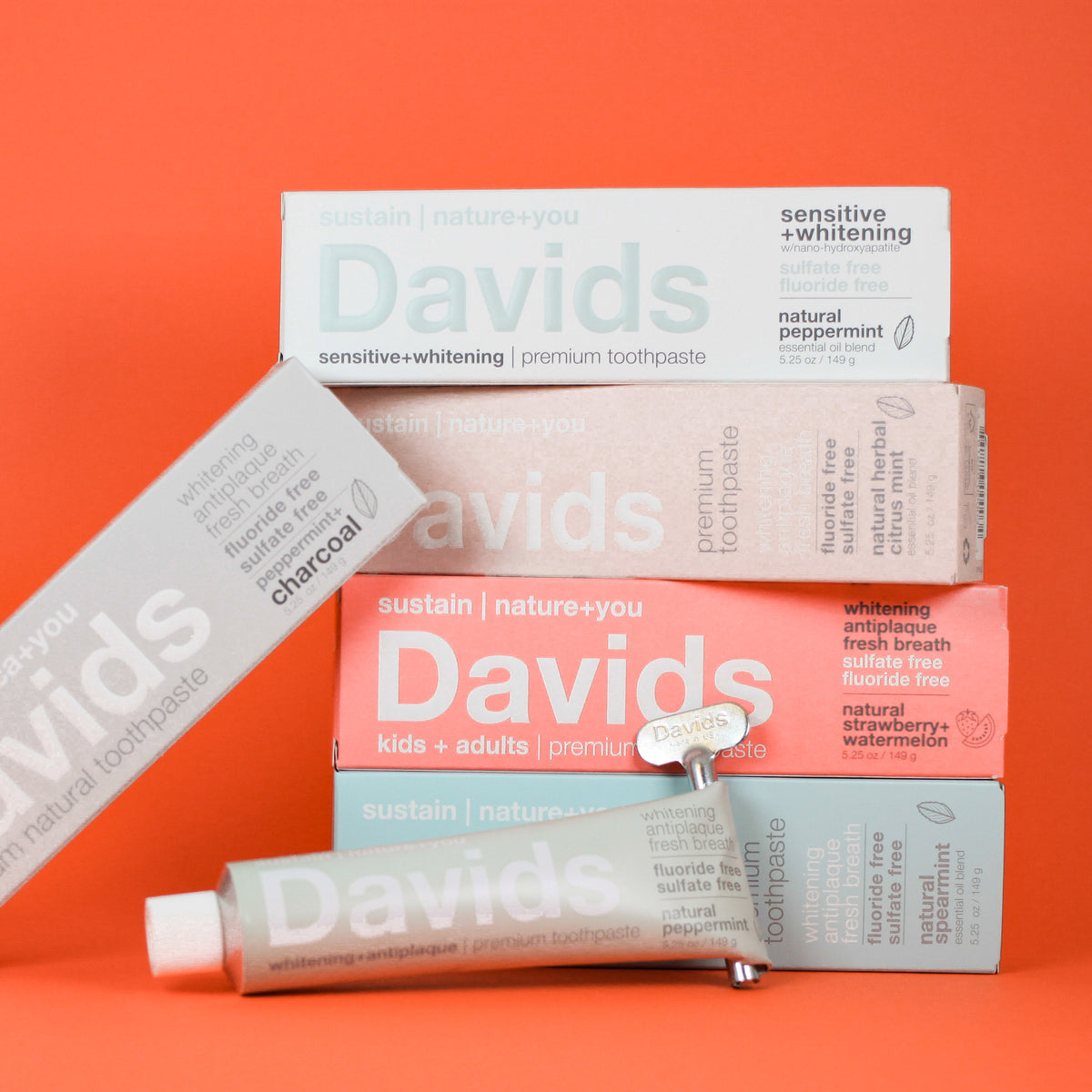 David's Natural Toothpaste | GoGoRefill
